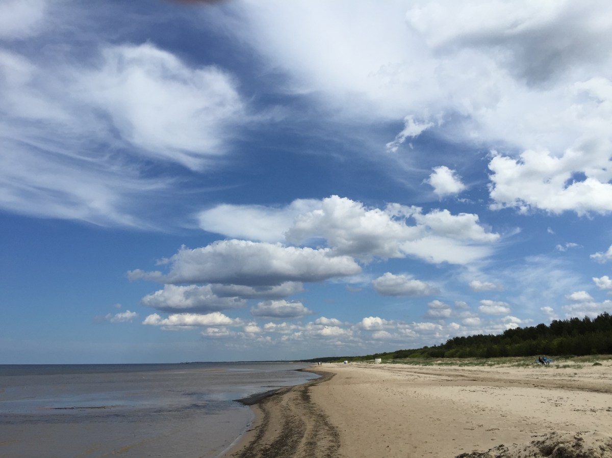 News – Sherry Morris