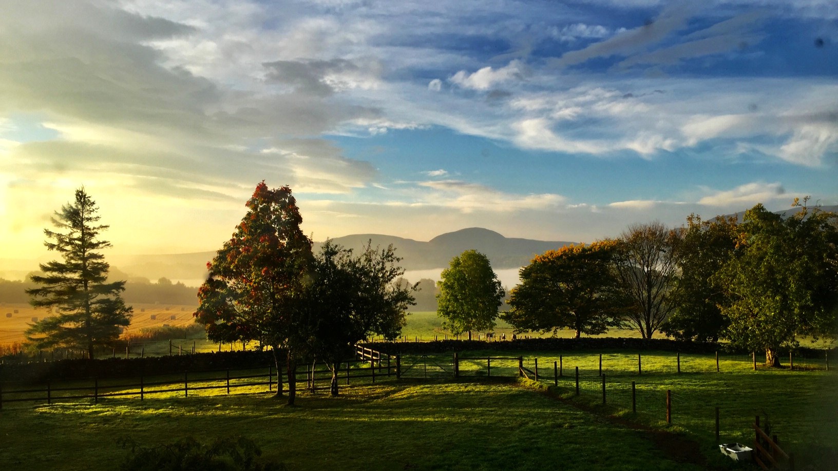 About – Sherry Morris